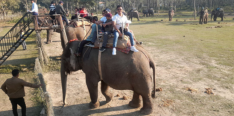 Kathmandu Pokhara Chitwan Tour | 8-Day Nepal Cultural & Wildlife Adventure